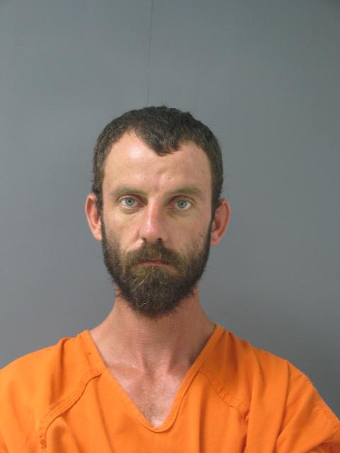 McAdams, Steven Shane | Bluebonnet News