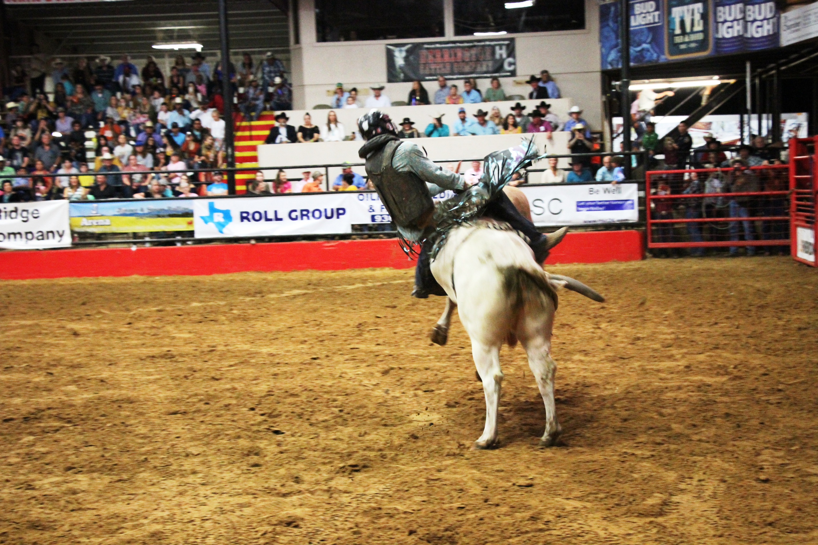 4019TVE rodeo 96 | Bluebonnet News