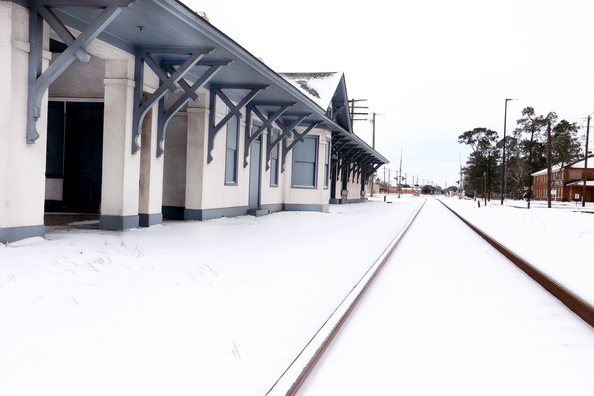 Southeast Texans embrace the 'Snowpocalyse of 2025' - Bluebonnet News