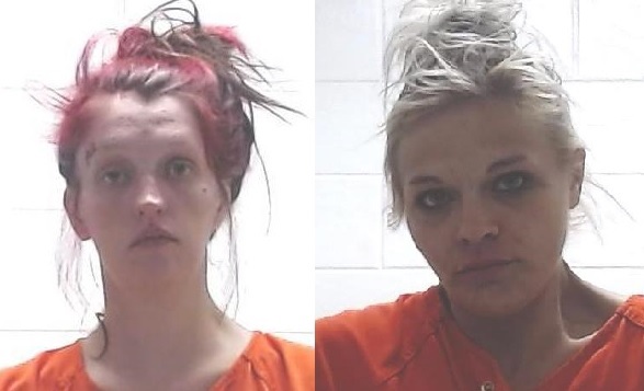 Liberty County Jail arrest report, March 20, 2025 - Bluebonnet News