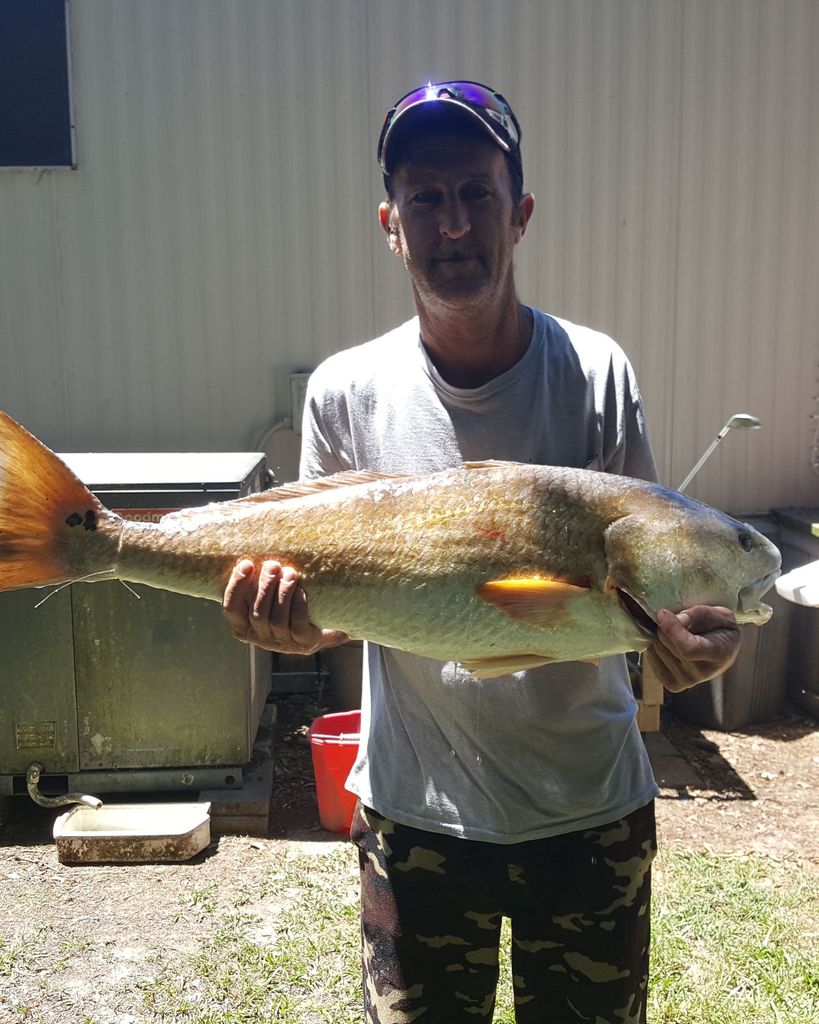 Jody Lee Cooley - Bluebonnet News