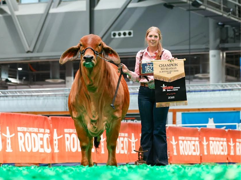 Liberty FFA students shine at Houston Livestock Show - Bluebonnet News